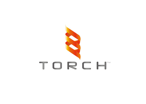 Torch Platforms Montenegro d.o.o | profil kompanije | Prekoveze.me